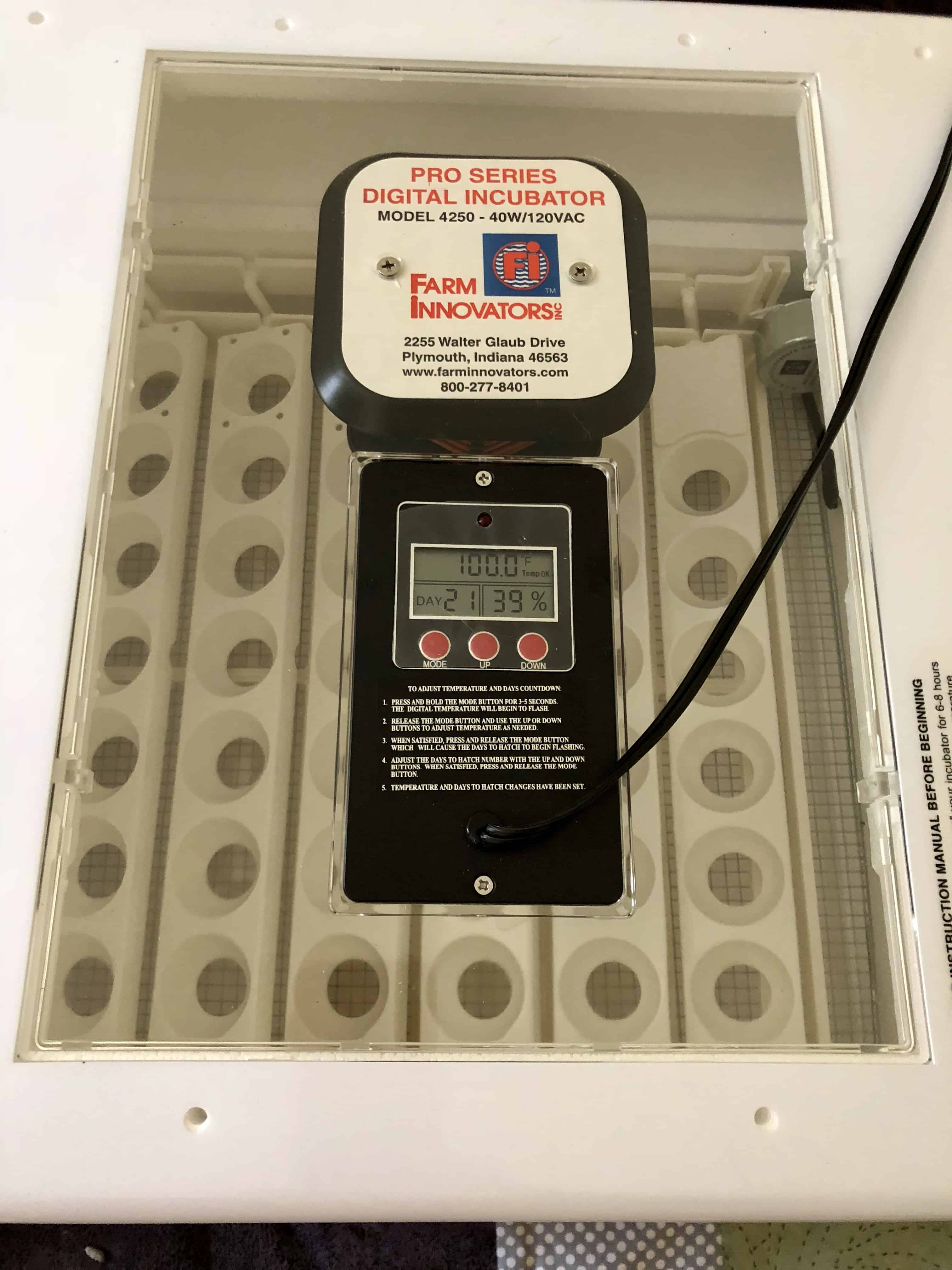 How to Choose an Egg Incubator