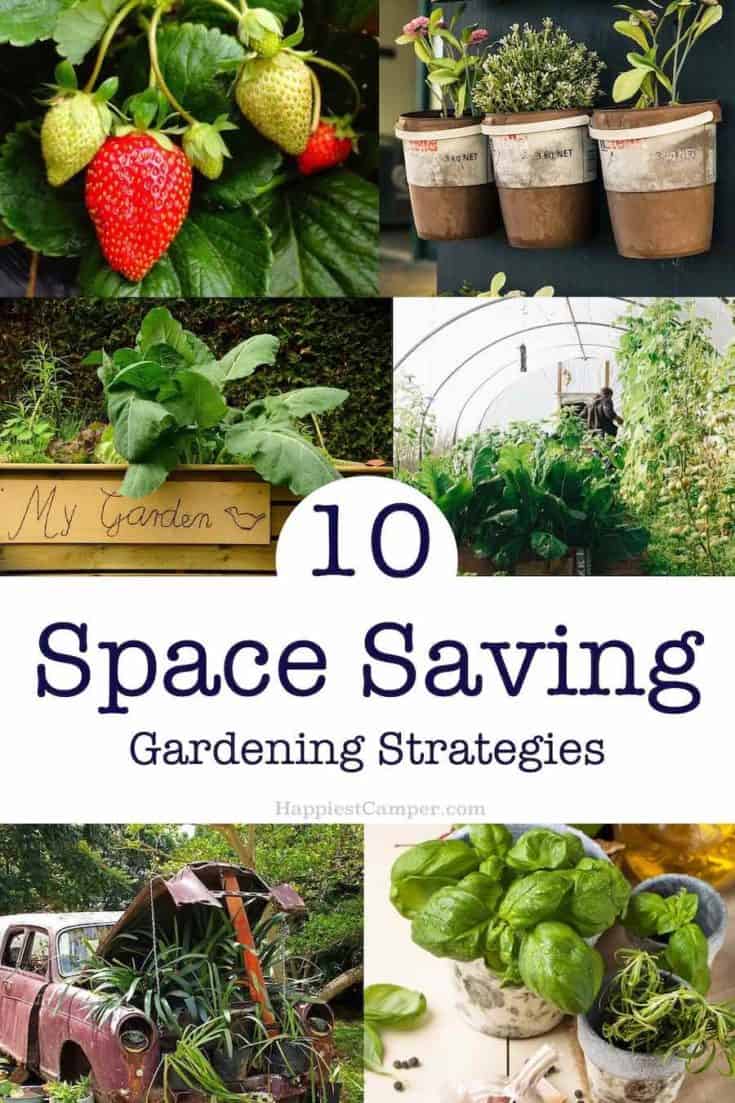 10 Space-Saving Gardening Strategies