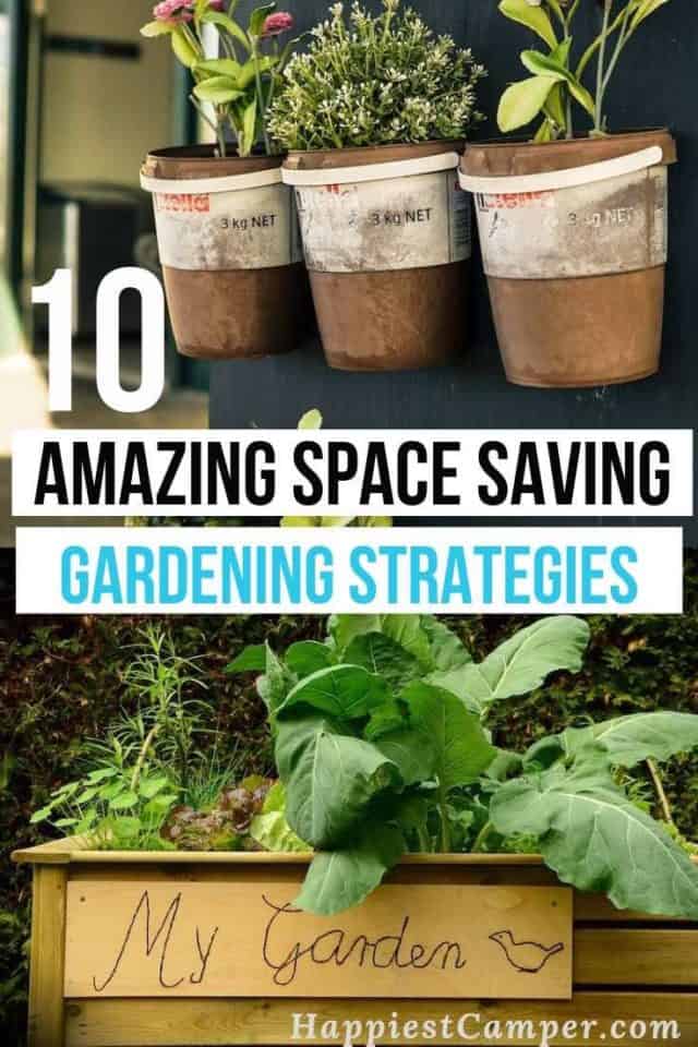 10 Space-Saving Gardening Strategies